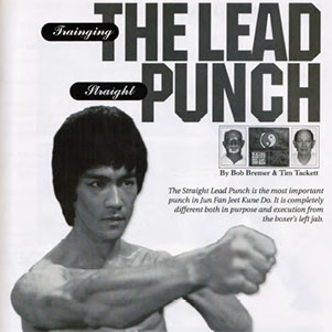 Training the Straight Lead Punch | Martial Musings - Reflections on ...